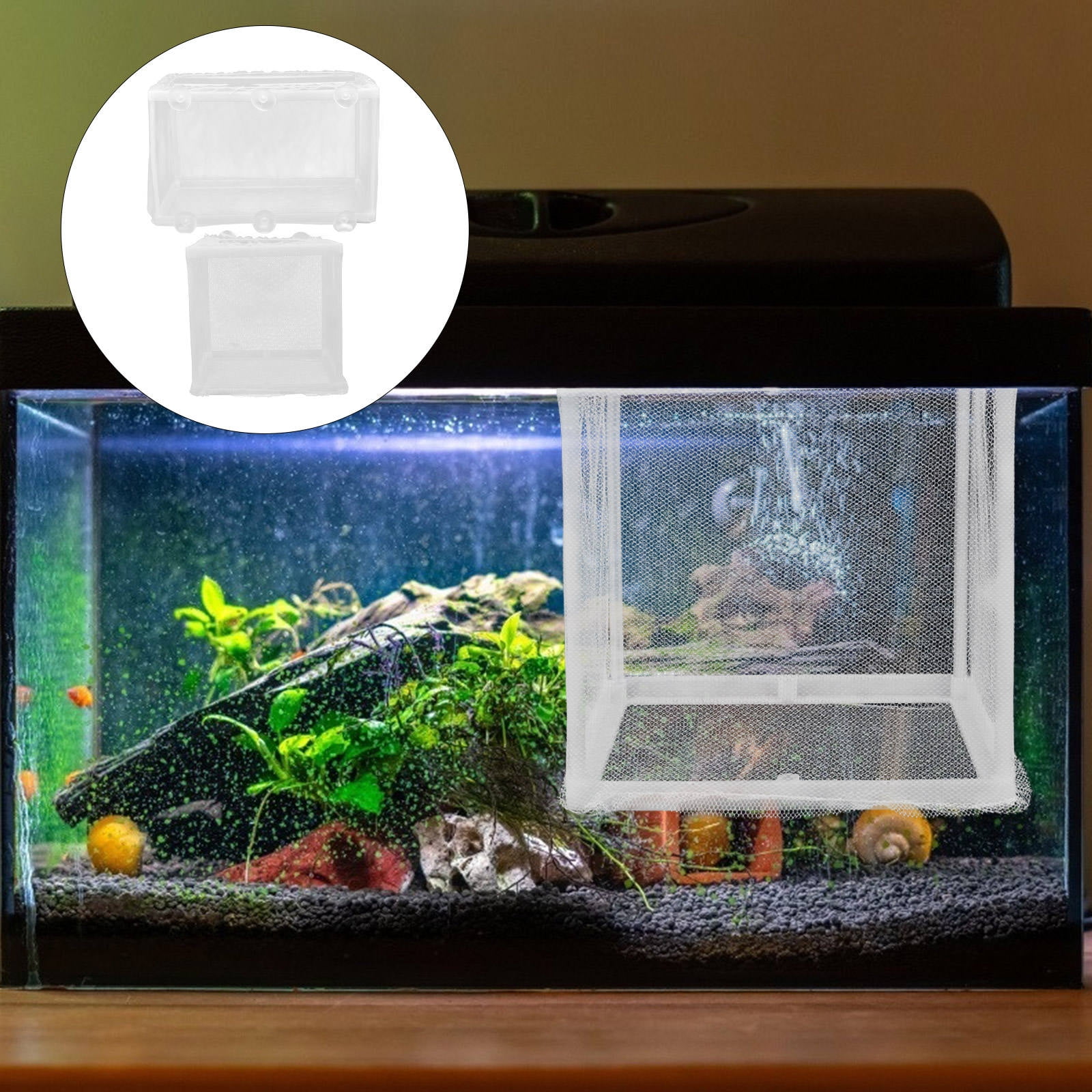WHAMVOX 2 PCS Fish Breeding Tank Aquariums Divider Small Baby White ...