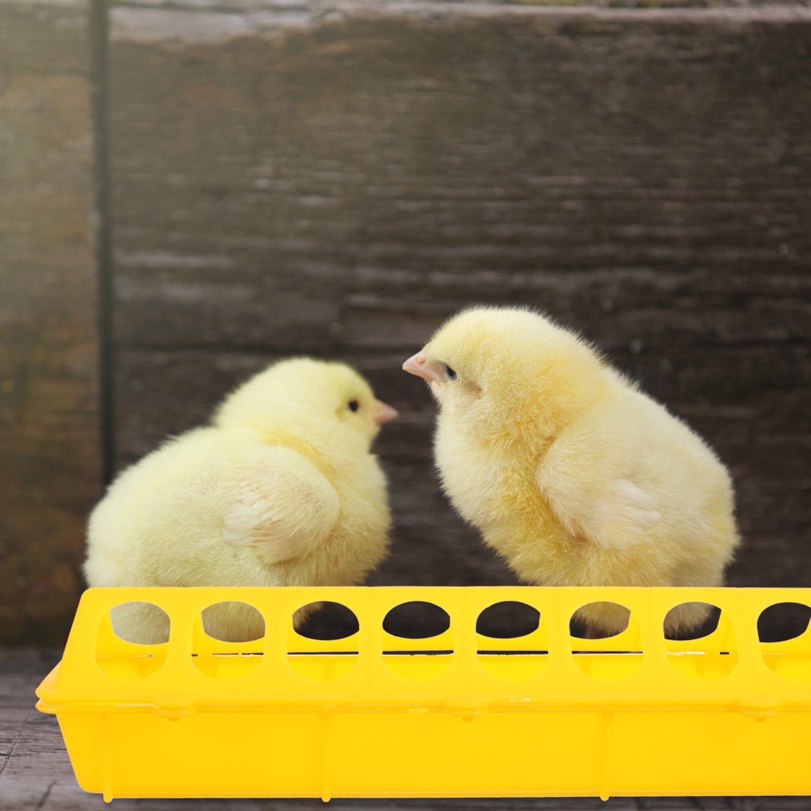 WHAMVOX 2 Pcs Bird Feed Container Feeding Water Feeder Trough - Walmart.com