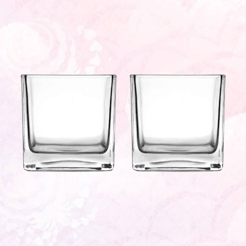 WHAMVOX 2 Pcs Plants Hydroponic Vessels Easy to Clean Vase Decoration ...