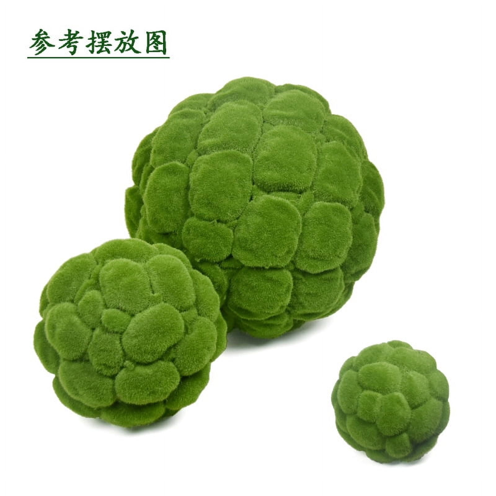 WHAMVOX 2 Pcs Round Topiary Outdoor Dried Balls Moss Hair Transplant ...