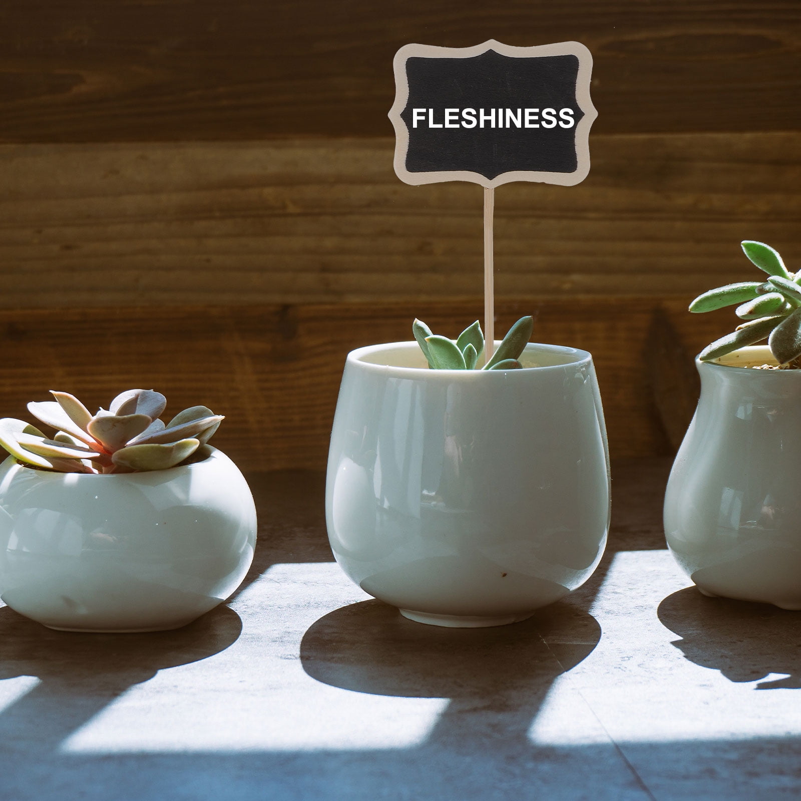 WHAMVOX 20Pcs Chalkboard Sign for Fruit and Flower Pot Decorations 17 ...