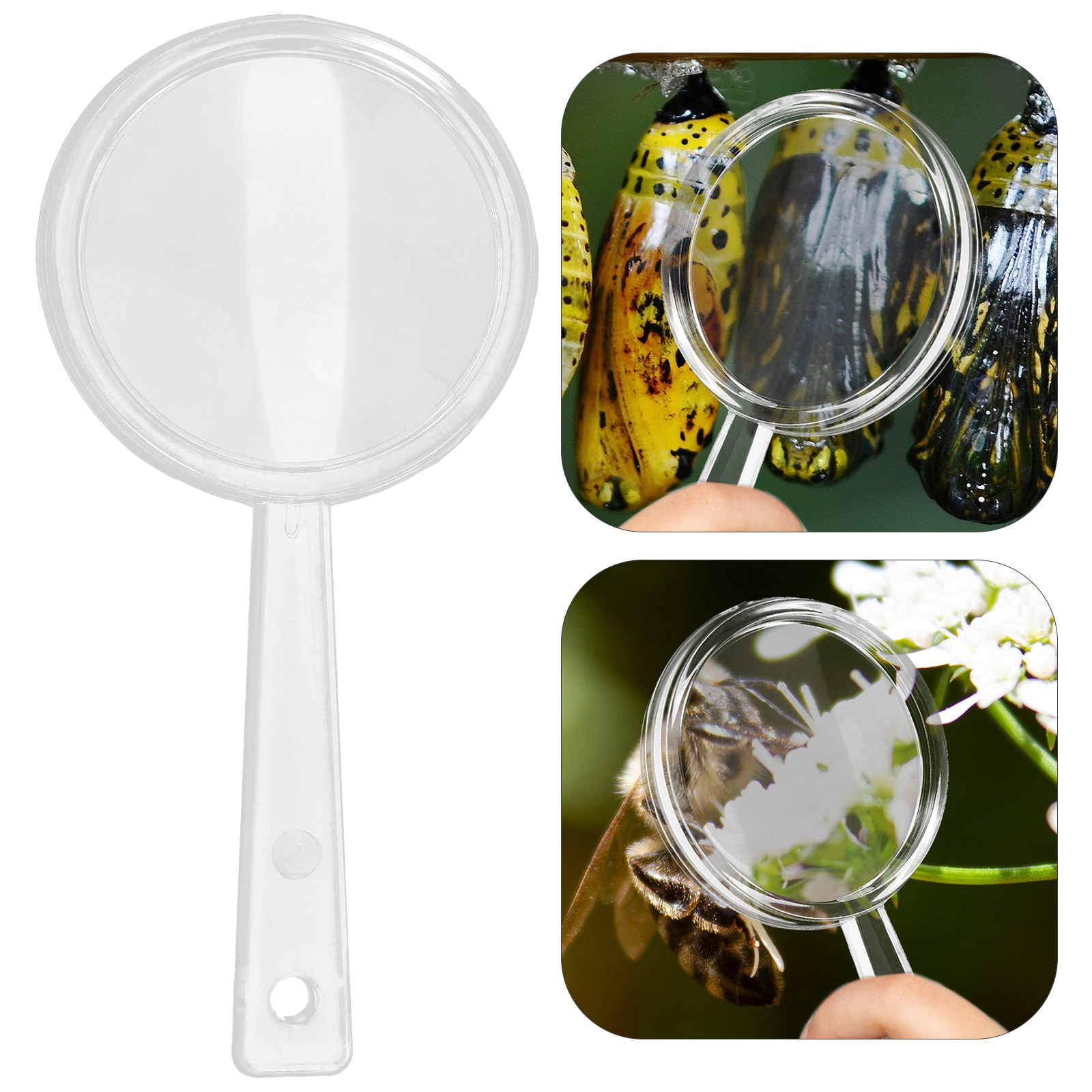 WHAMVOX 20Pcs Transparent Abs Handheld Magnifier for Kids Reading ...