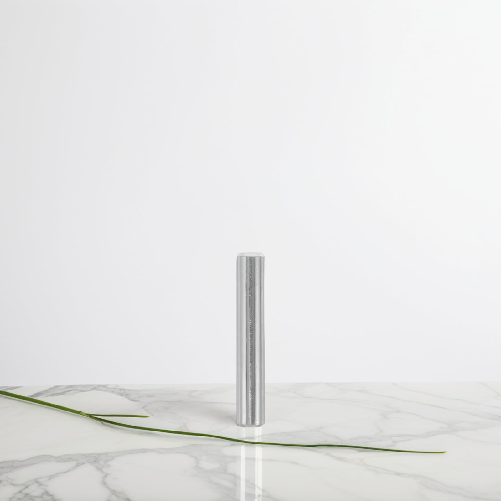 WHAMVOX 25pcs Dowel Pin Stainless Steel Shelf Brackets Pegs Support ...