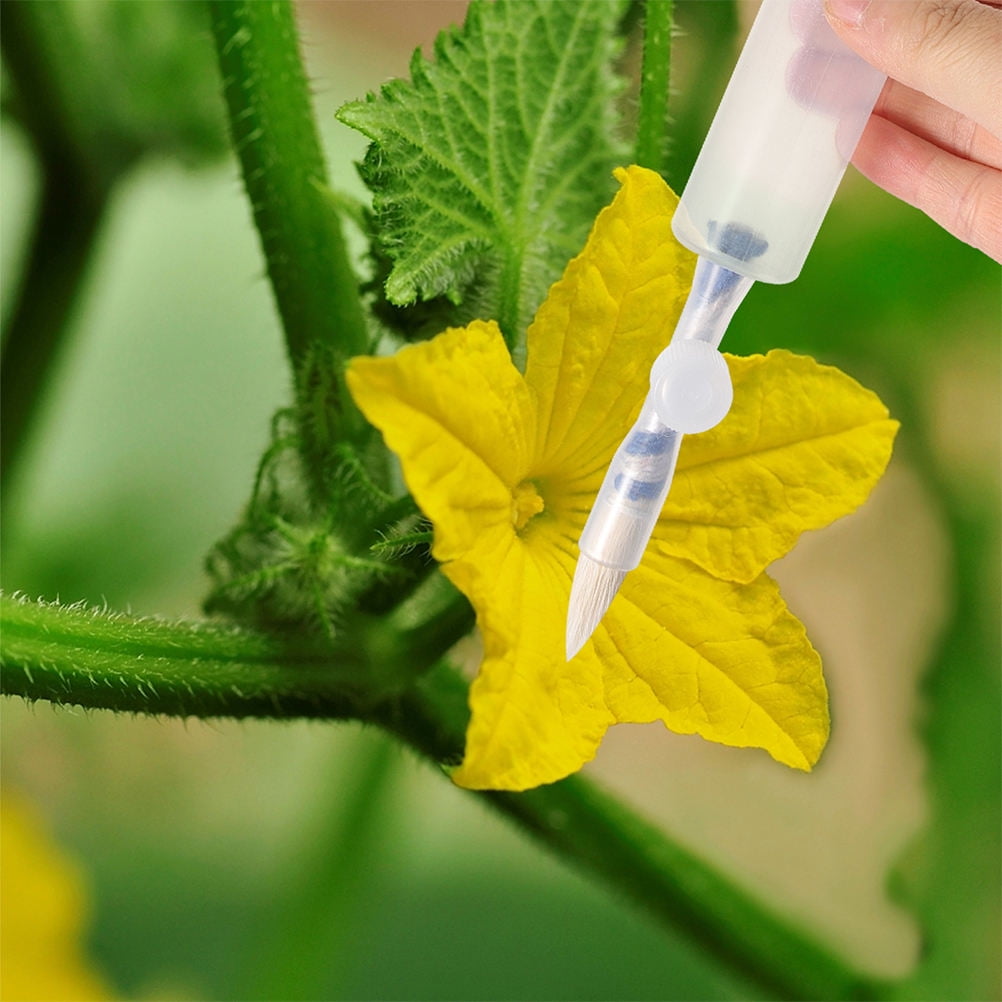 WHAMVOX 2pcs Hand Pollination Tool Tomato Pollinator Brush Manual ...