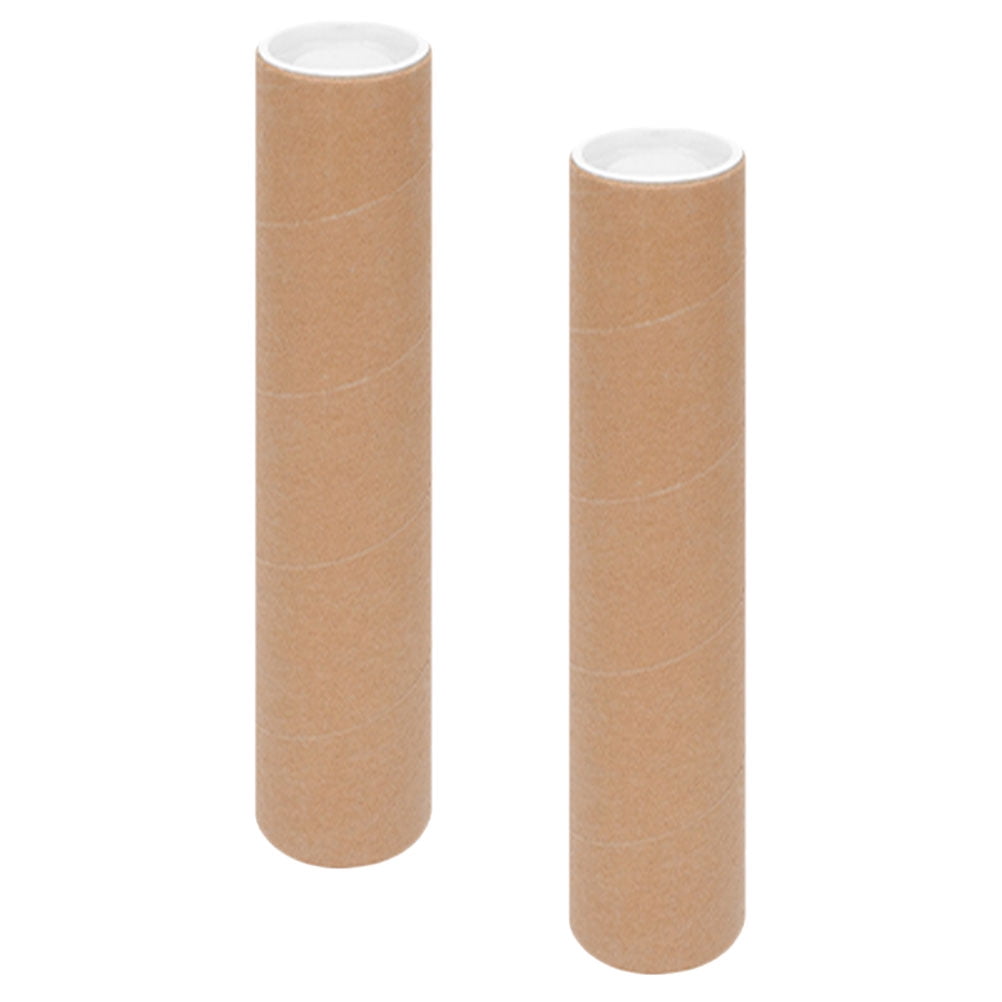 WHAMVOX 2pcs Poster Tubes Artwork Storage Tube Poster Mailing Tube ...