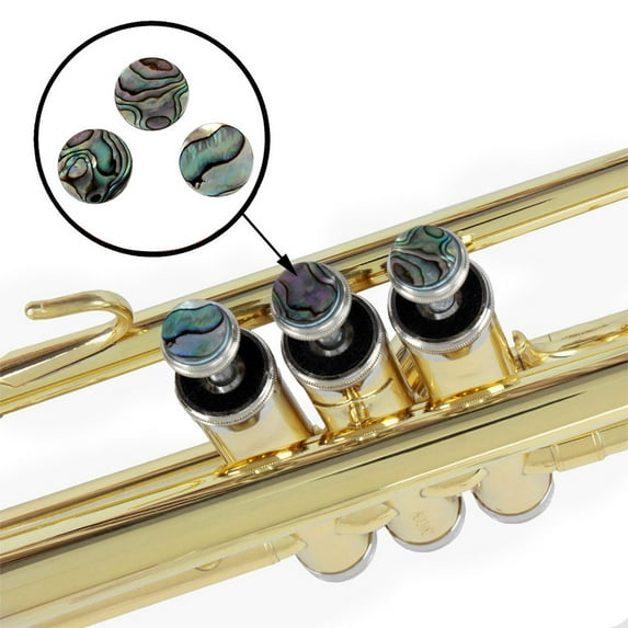 WHAMVOX 3 PCS/Set Abalone Shell Button Saxophone Finger Alto Buttons ...