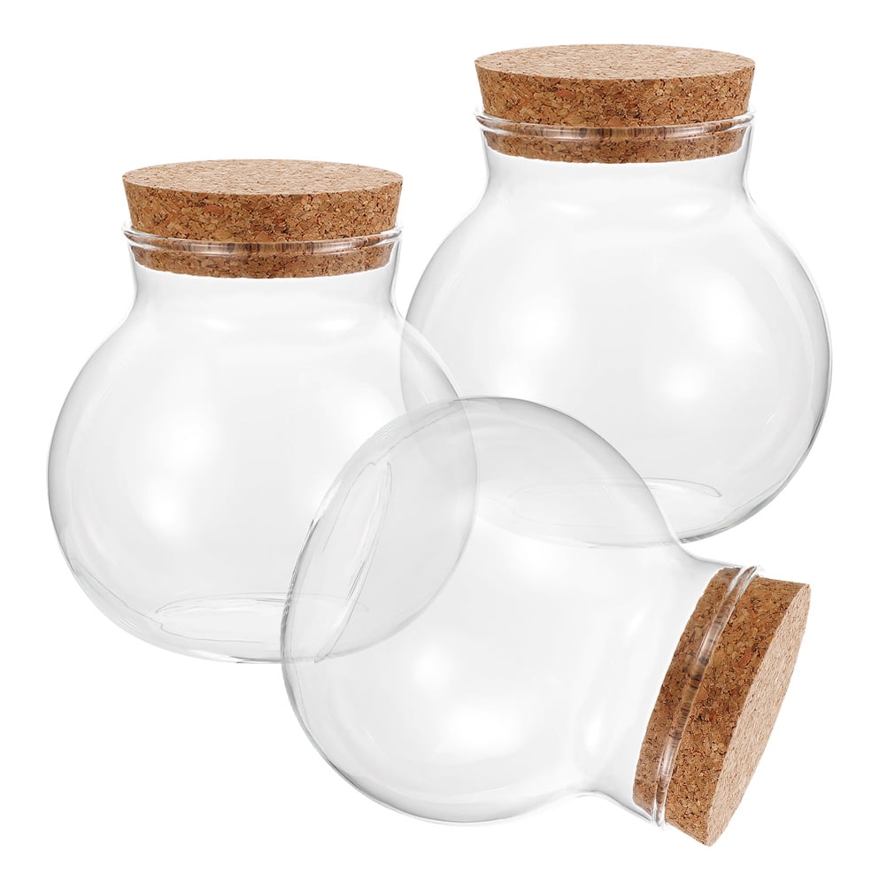 WHAMVOX 3 Pcs Eco Bottle Plant Terrarium Propagation Station Apothecary ...