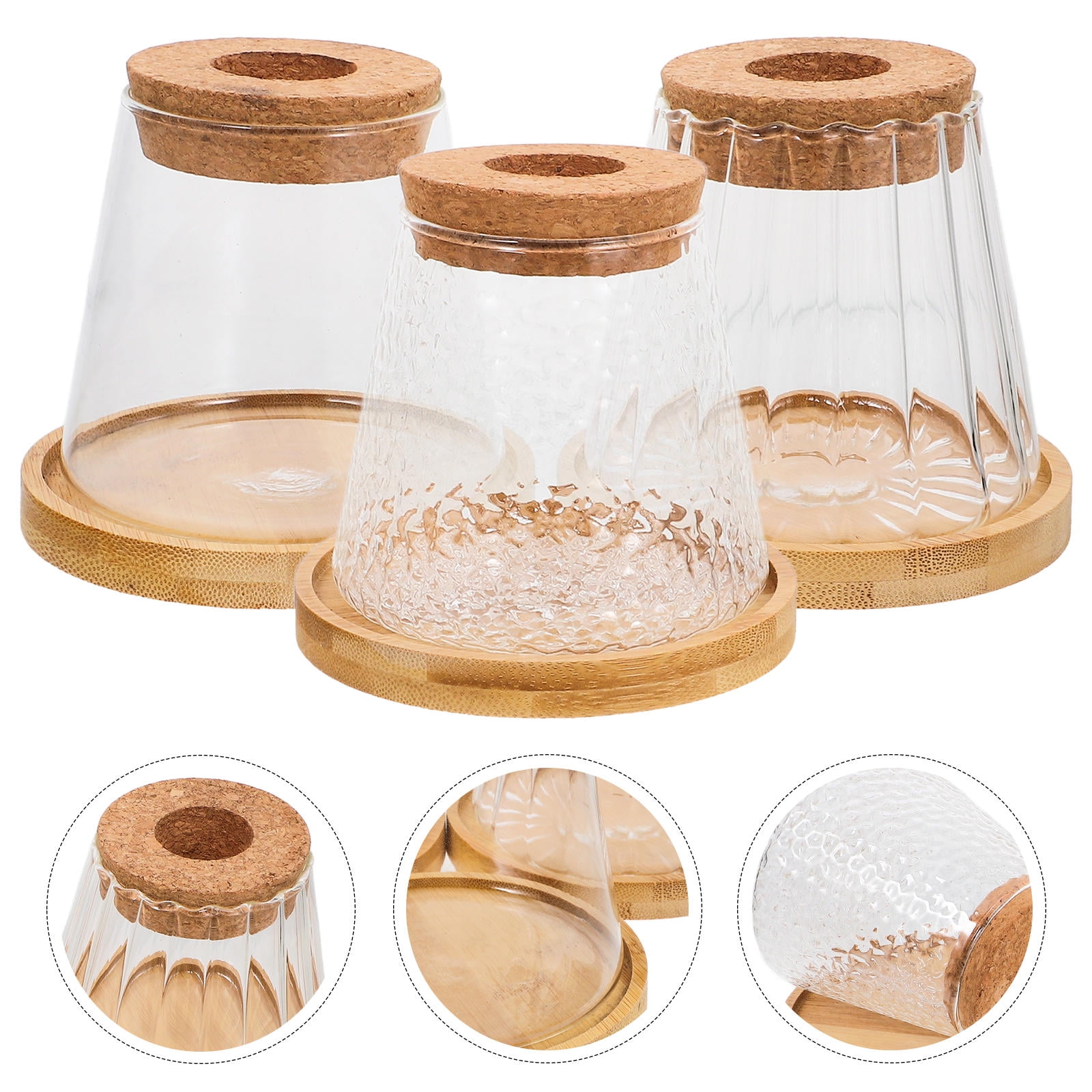 WHAMVOX 3 Sets Of Glass Hydroponic Bottles Compact Glass Planters With ...