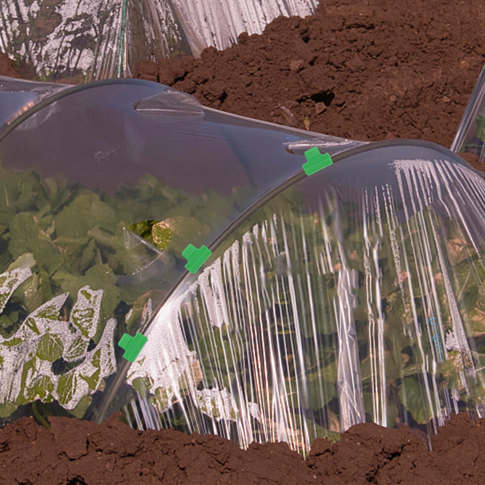 WHAMVOX 30pcs Garden Clips Greenhouse Clamps Greenhouse Hoops Grow ...