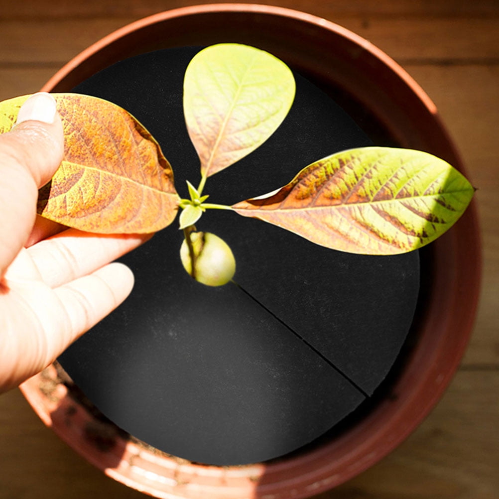 WHAMVOX 30pcs Tree Mulch Shield Tree Mulch Disc Non-Woven Tree Root ...