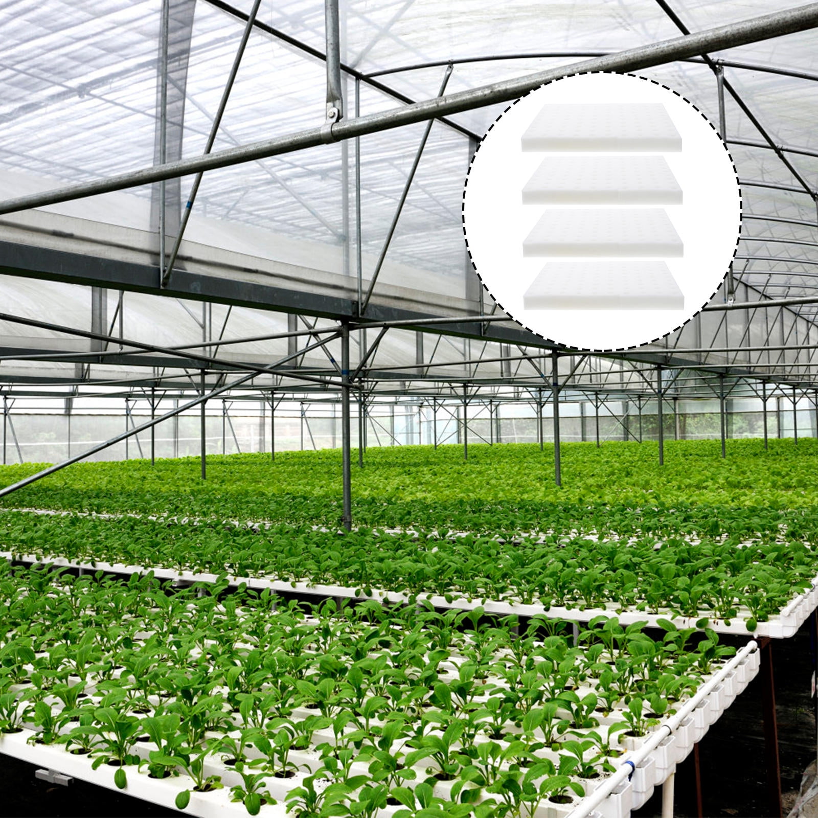 WHAMVOX 4 Pcs Seeding Indoor Planted Cotton Hydroponic Kit Cultivation ...