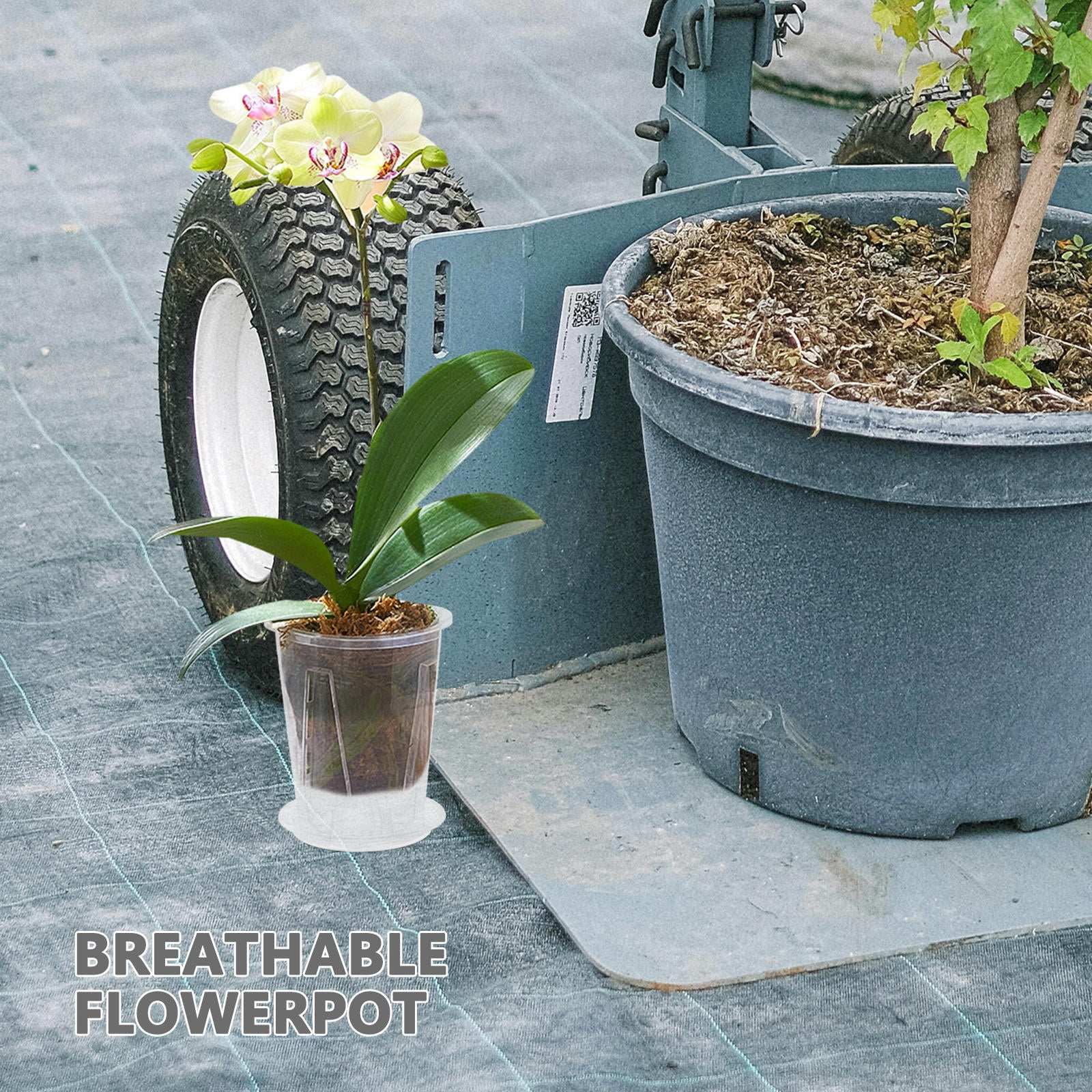 WHAMVOX 4 Sets Clear Plastic Orchid Planter with Trays Nursery Pot ...