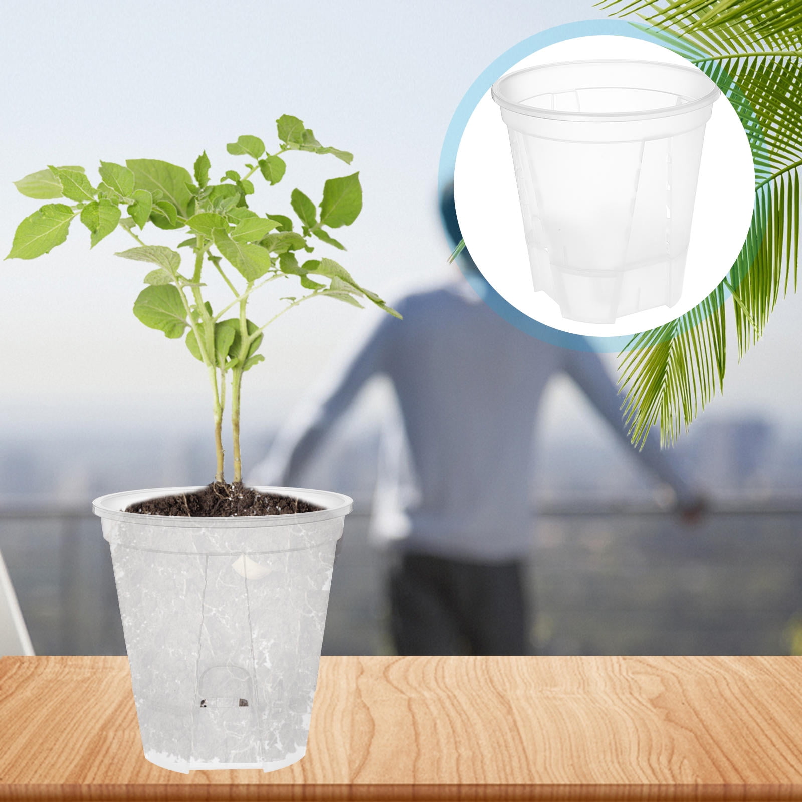 WHAMVOX 6PCS Clear Nursery Pots Plants Self Drainage Orchid Pots ...