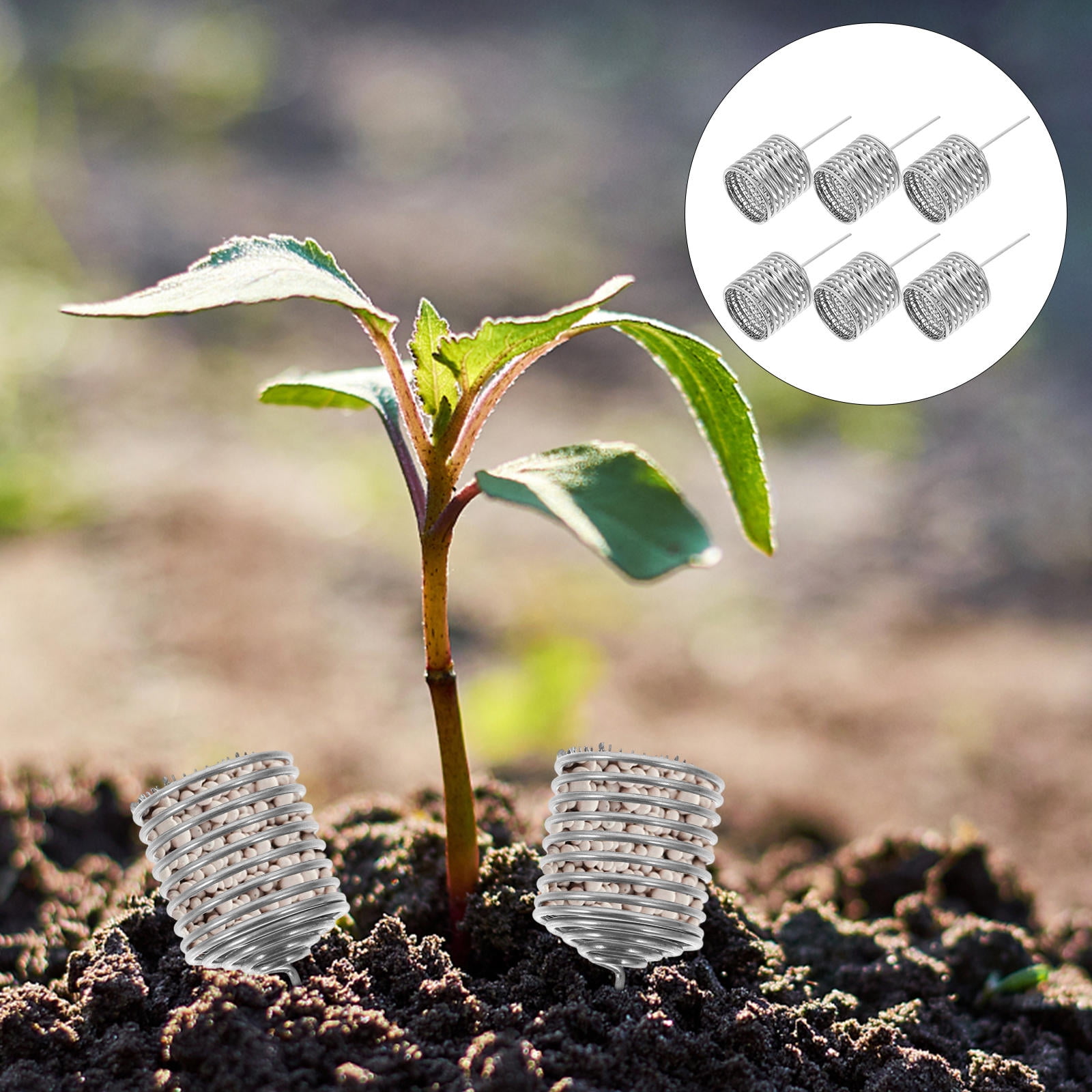 PENIKOKO Silver Fertilization for Outdoor Gardens 6Pcs 2X5Cm - Walmart.com