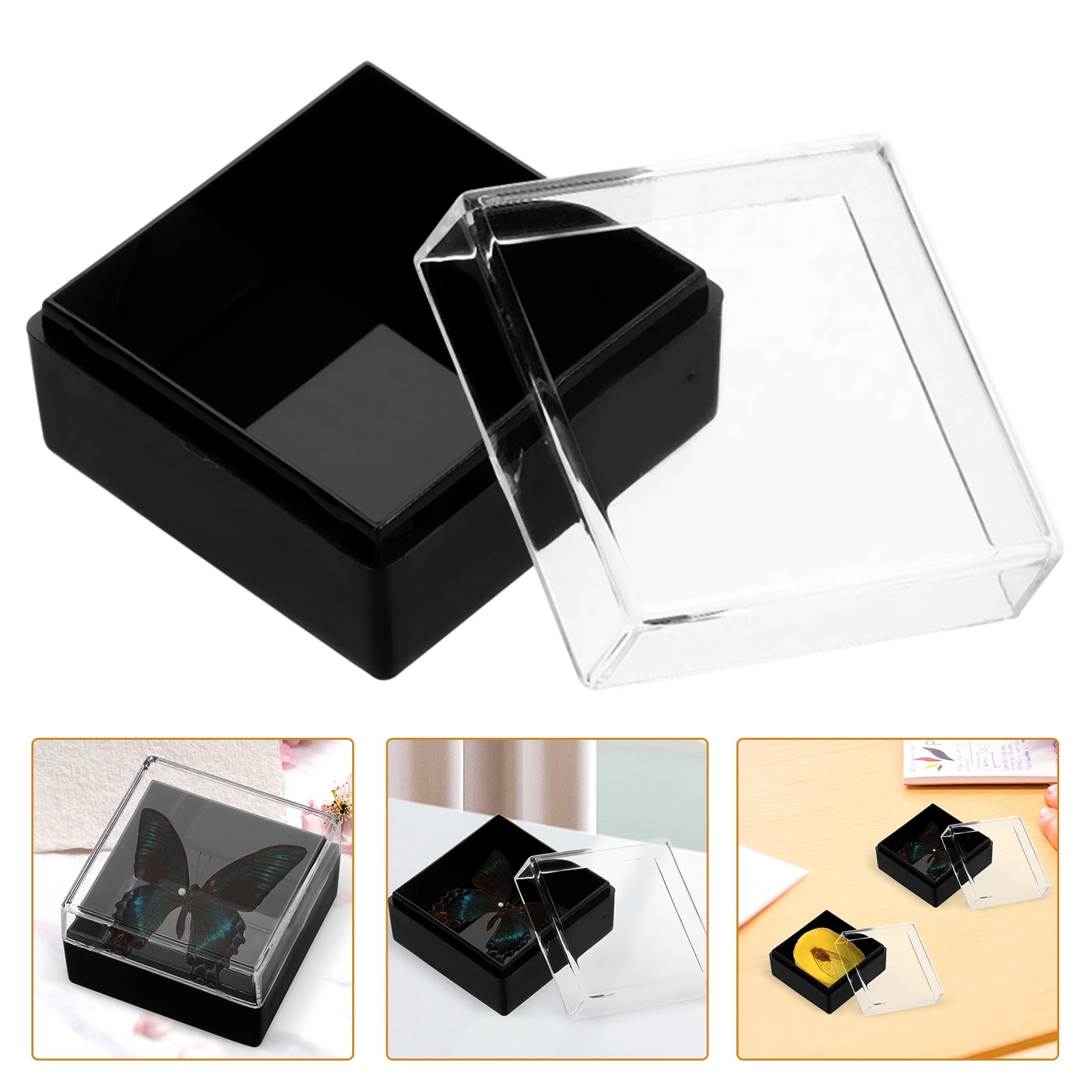 WHAMVOX 6Pcs Transparent Mineral Specimen Boxes Mineral Stones Display ...
