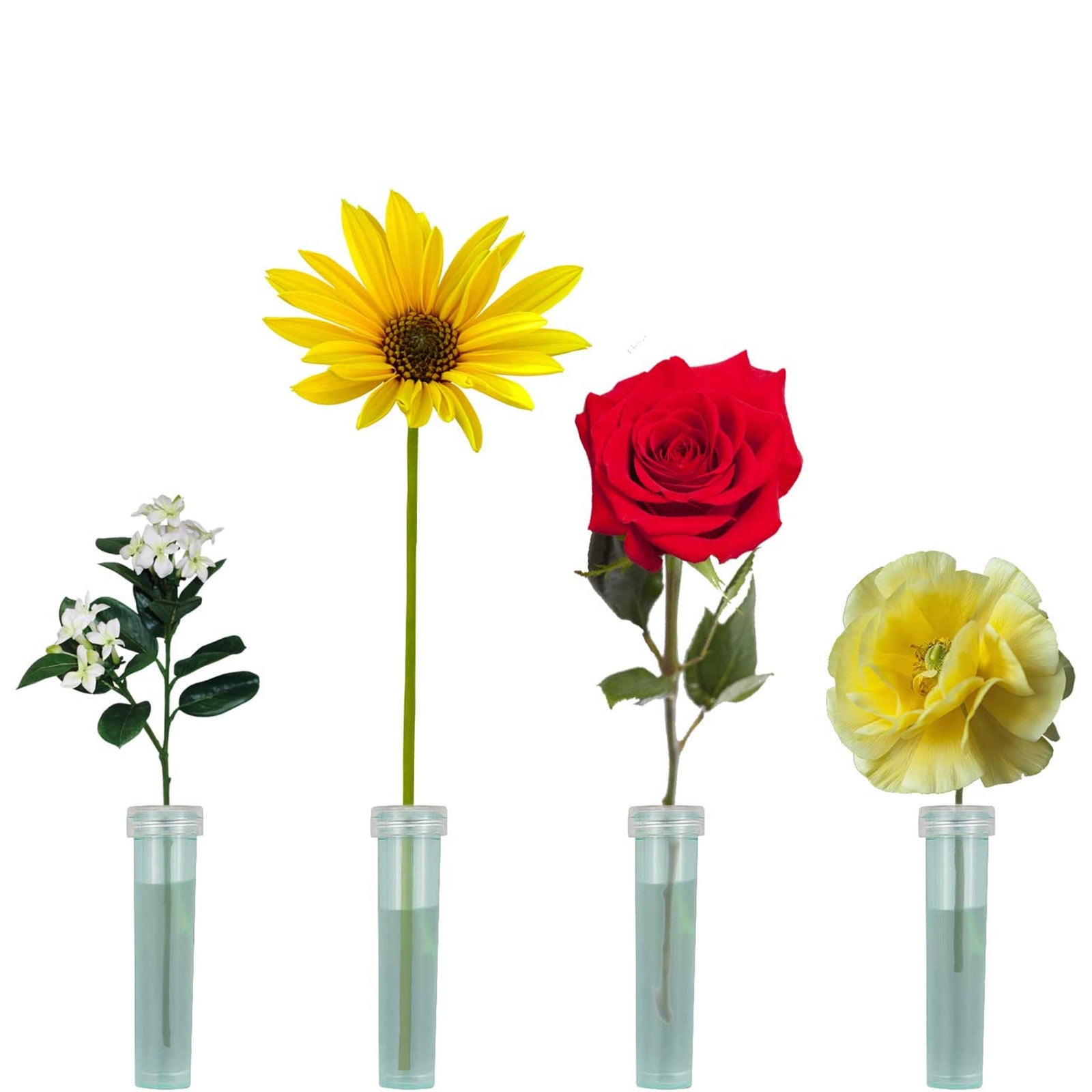 WHAMVOX 90 Pcs Drip Plant Vial with Lid Flower Vase Alternatives ...