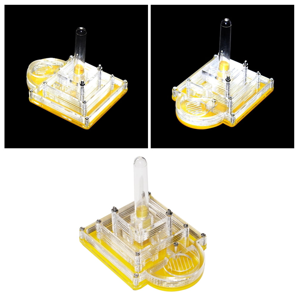 WHAMVOX Ant Nest Pyramid Ant Breeding Box Practical Acrylic Ant Nest ...