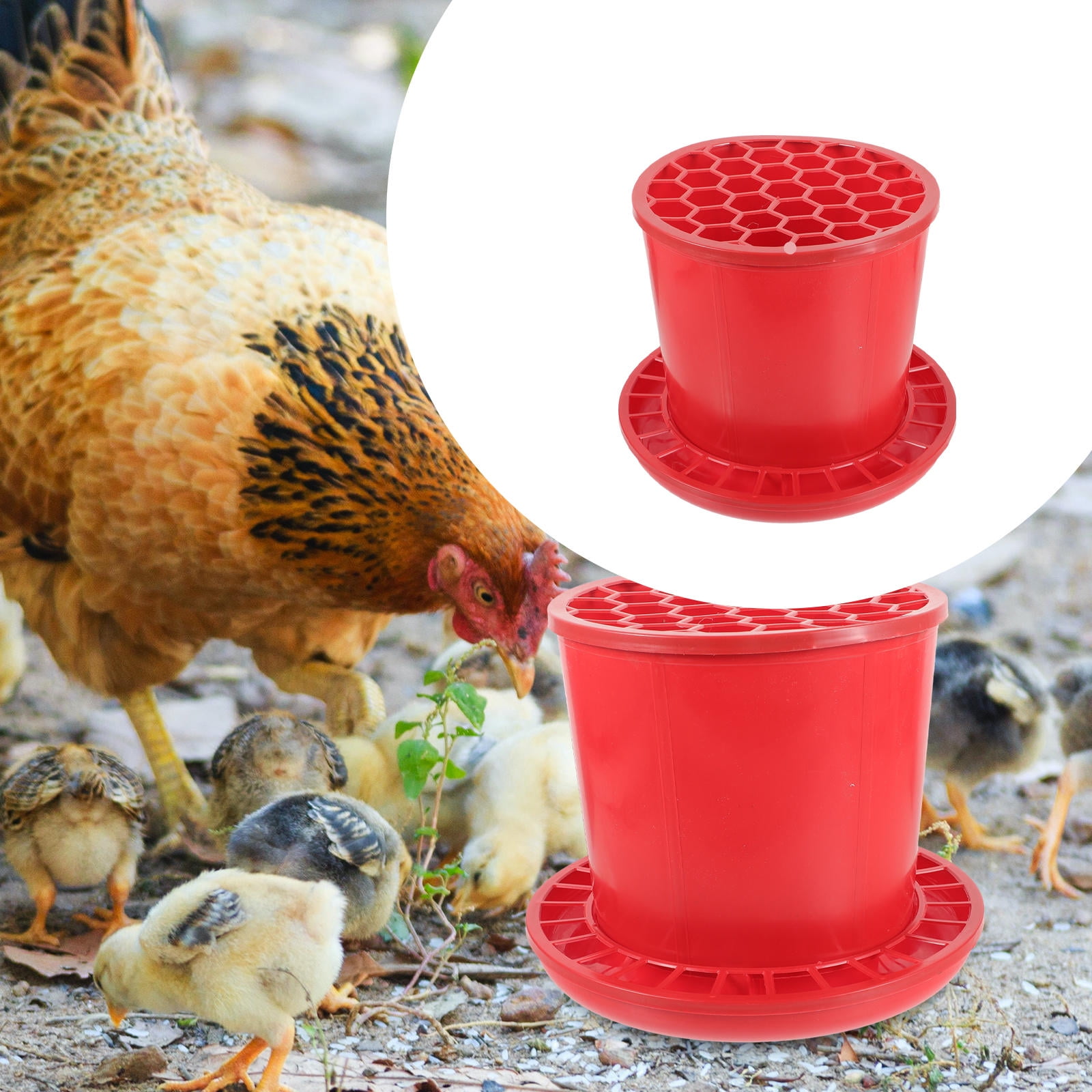 WHAMVOX Automatic Chicken Feeding Troughs Practical Poultry Food ...