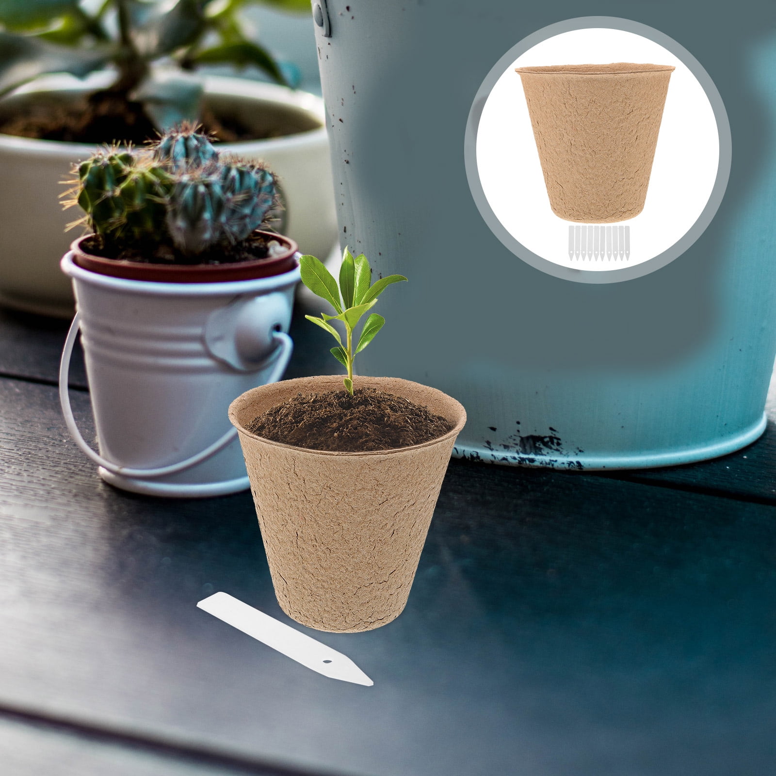 WHAMVOX Biodegradable Peat Pots for Planting Use Made of Pulp Material ...