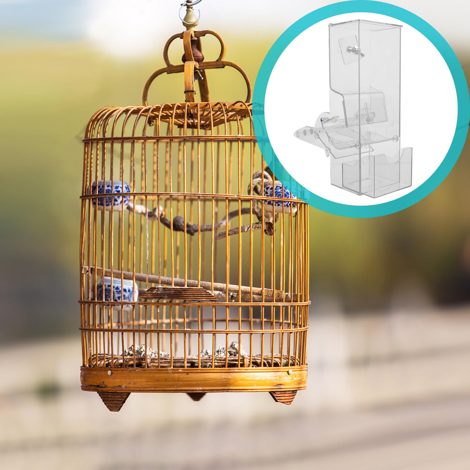 WHAMVOX Bird Automatic Feeder Small Transparent Feeders Parrot Baby ...