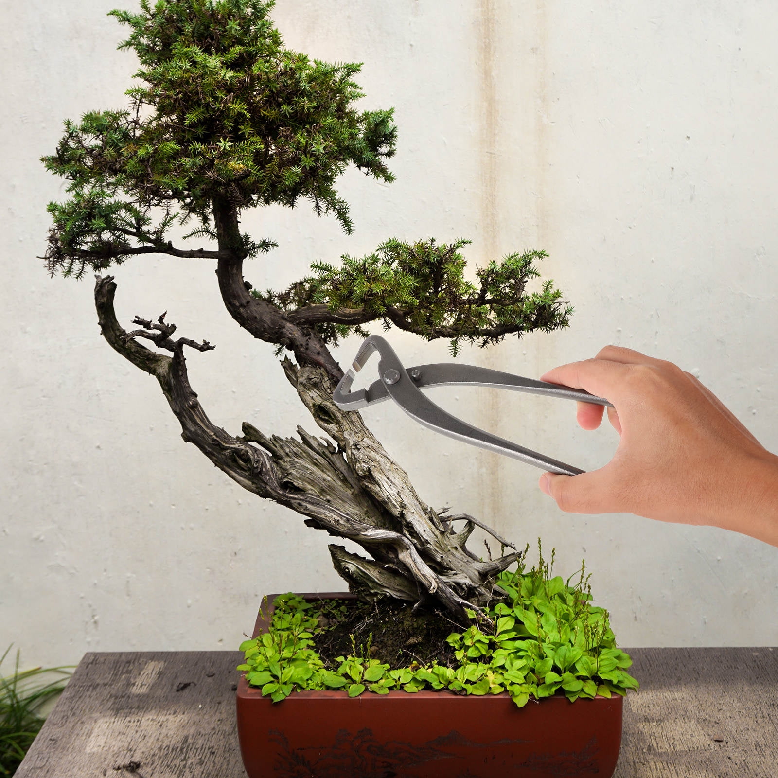 WHAMVOX Bonsai Clippers Bonsai Tree Tools Branch Trimmer Carbon Bonsai ...