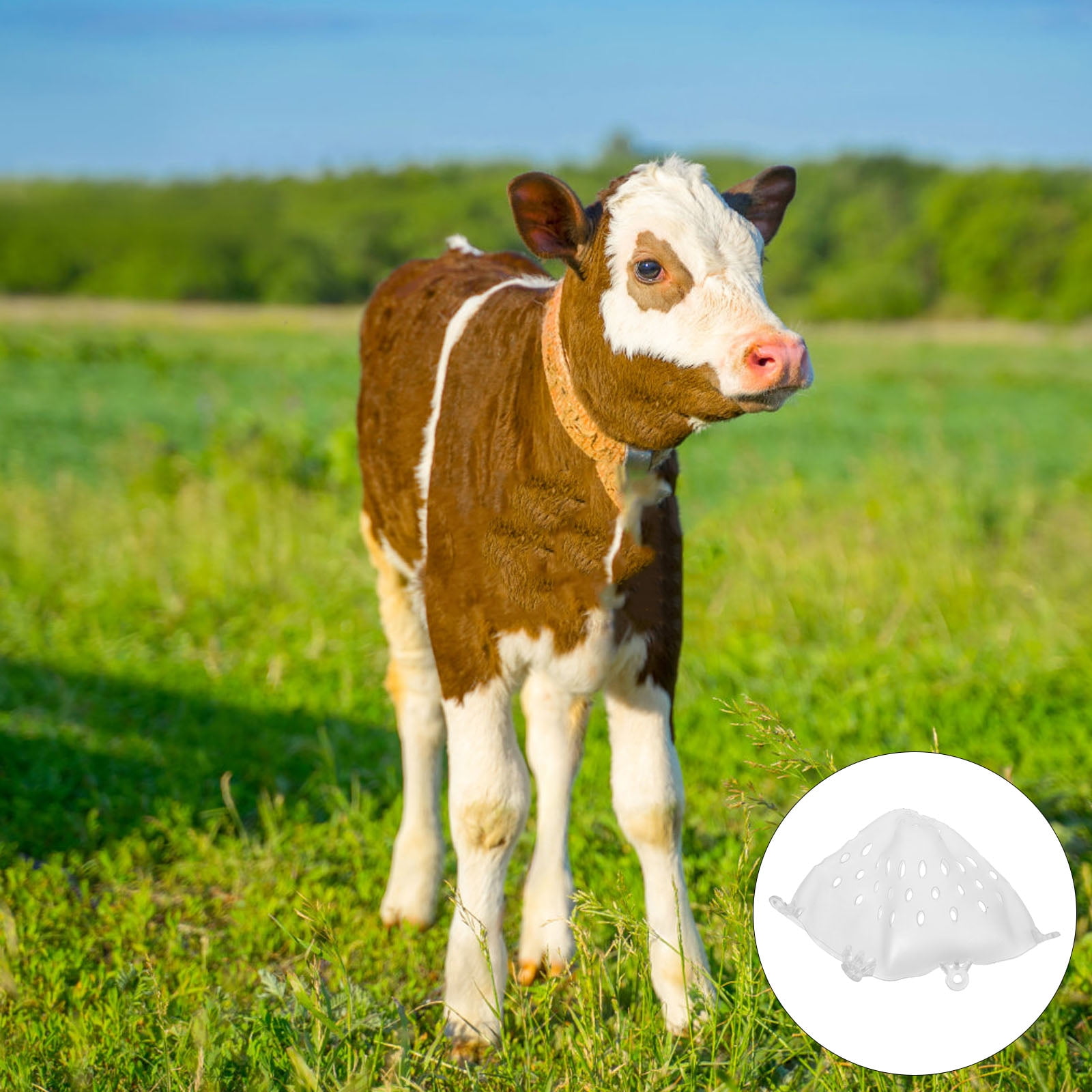 WHAMVOX Calf Weaner Cow Cover Cattle Weaner Cattle Cow Weaning Tool ...