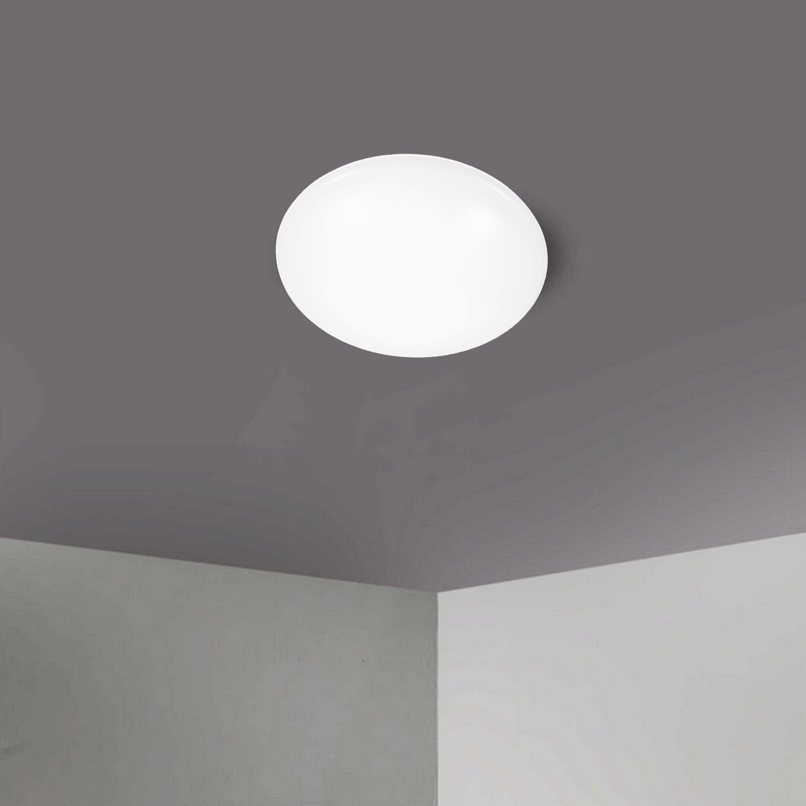 WHAMVOX Ceiling Light Shade Replacement Round Plastic Cover Emergency ...