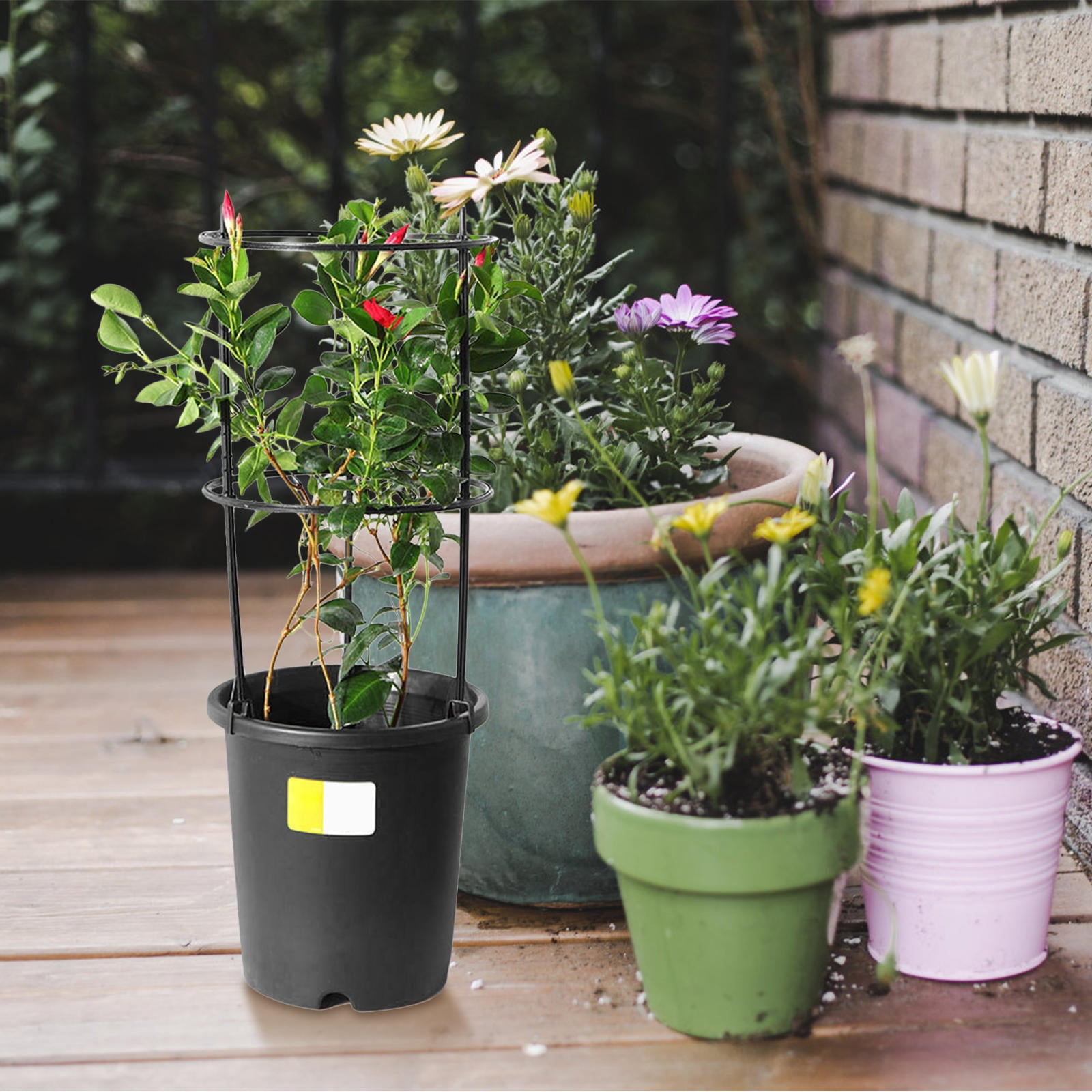 WHAMVOX Climbing Vine Trellis Plant Shelf Stand Plants - Walmart.com