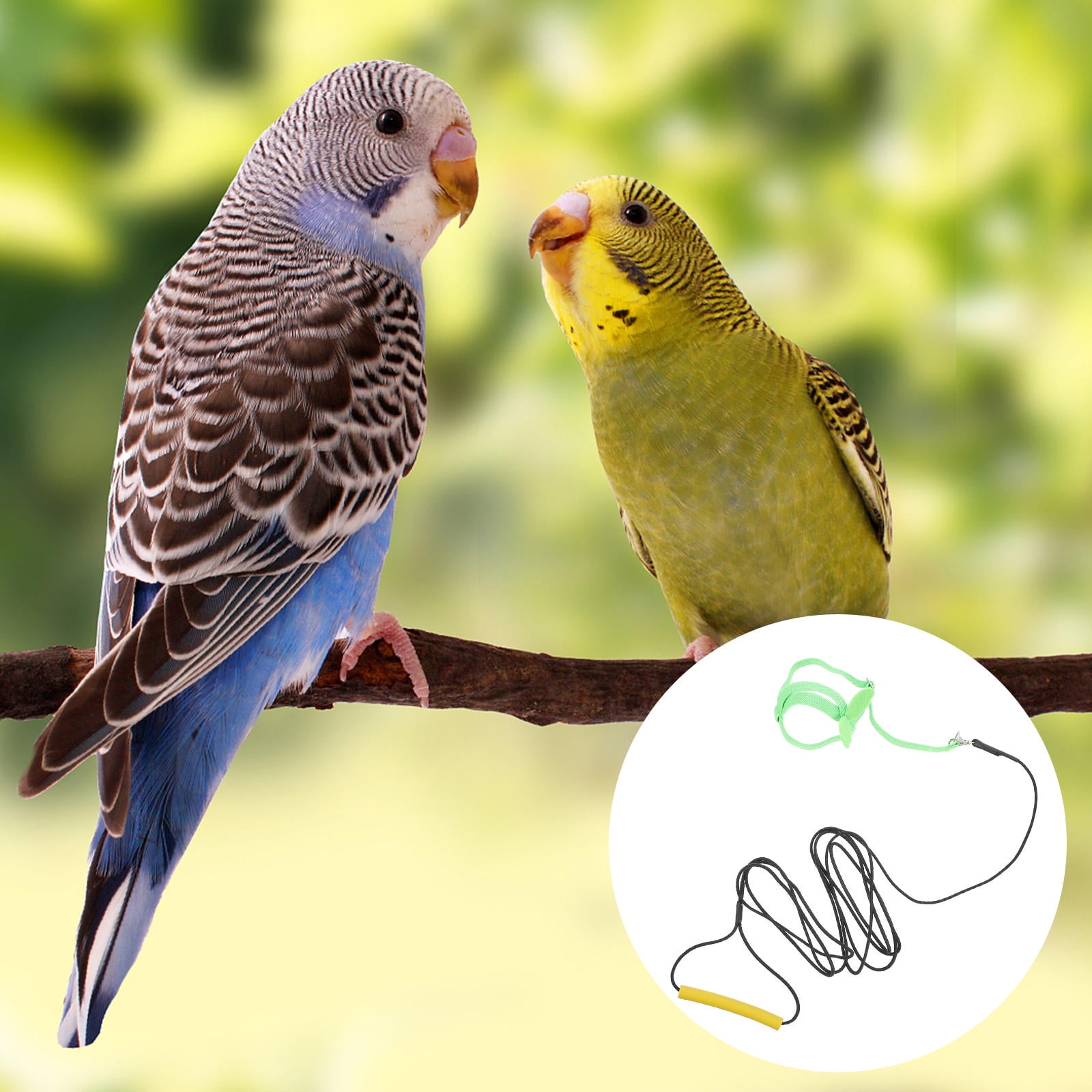 WHAMVOX Cockatoo Harness Parrot Training Rope Pet Bird for Cockatiel ...