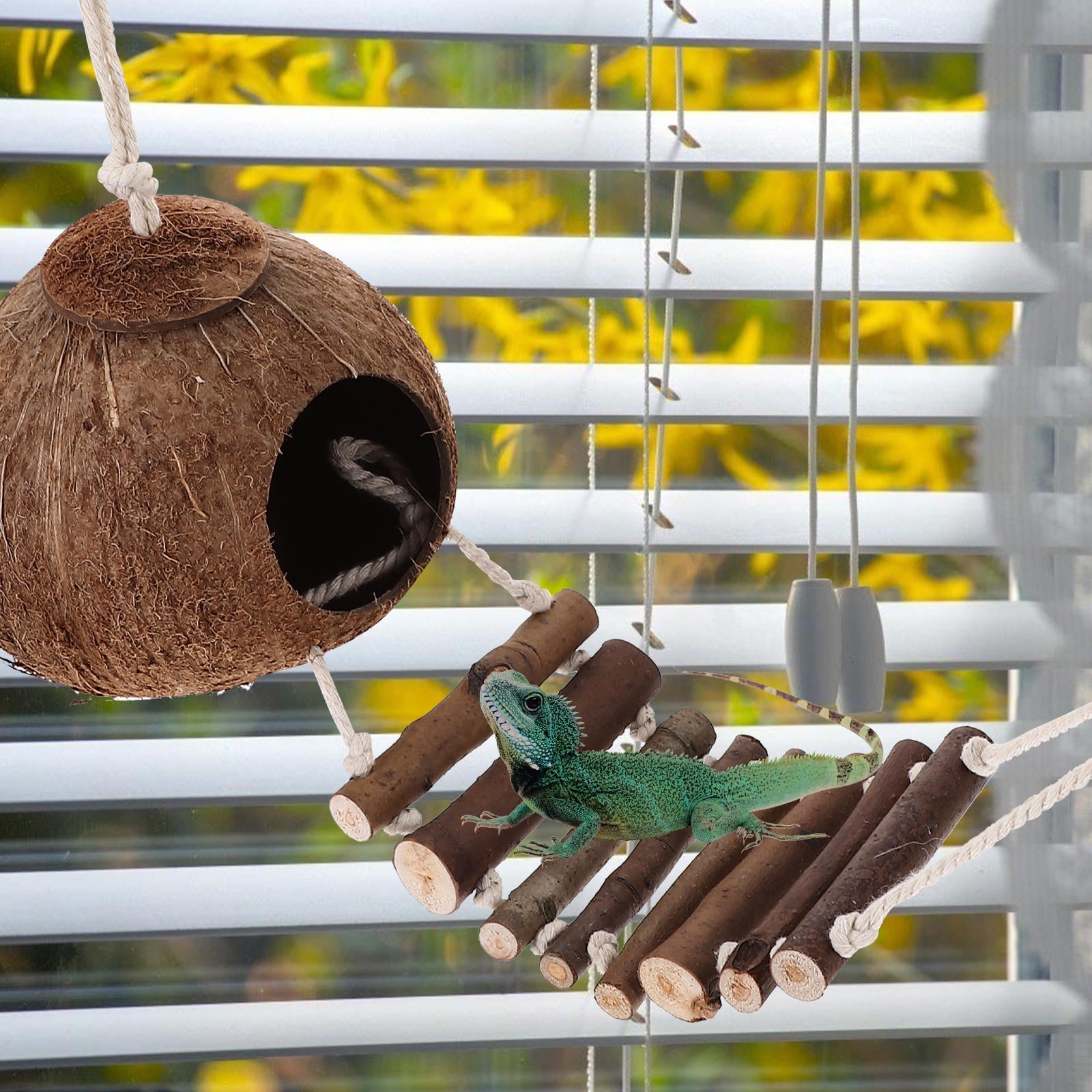 WHAMVOX Coco Hut for Hermit Crabs with Ladder Hanging Tank Cave Habitat ...