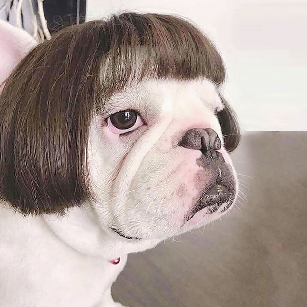 WHAMVOX Creative Dog Wig for Pet Headwear Made of Polyester Black Color ...