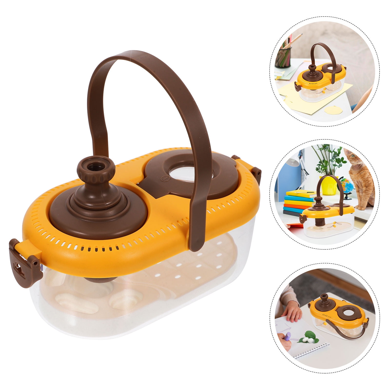 WHAMVOX Enclosure Silkworm Observation Box Child 25.00X13.00X12.50CM ...