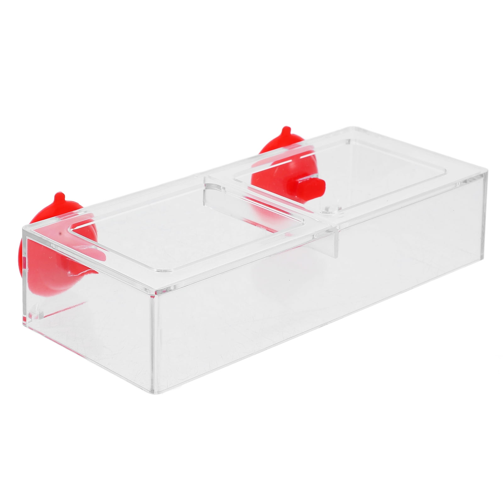 WHAMVOX Fish Feeding Ring for Aquarium Betta Fish Feeding Rings Fish ...