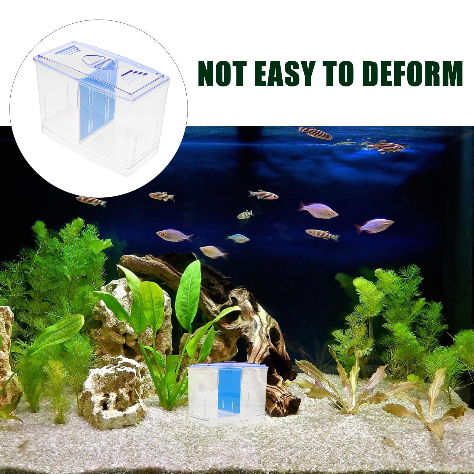 WHAMVOX Fish Isolation Box Aquarium Guppy Breeding Box Fish Nursery ...