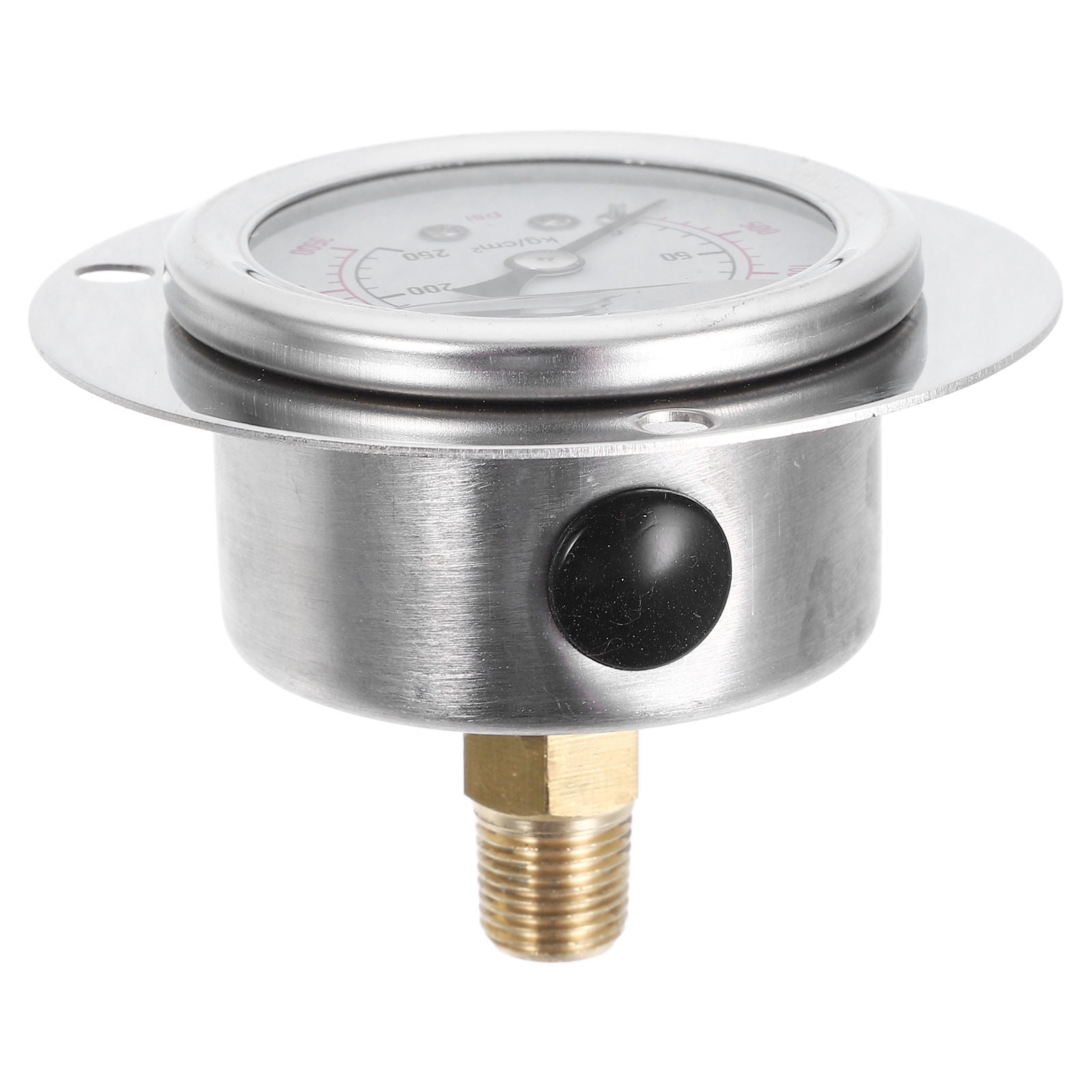 WHAMVOX Flanged Pressure Gauge Panel Mount Pressure Gauge Measuring ...