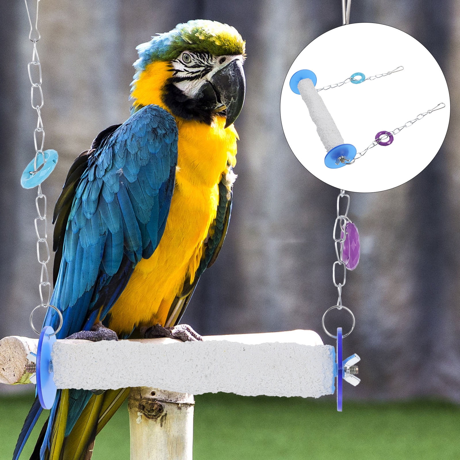 WHAMVOX Funny Parrot Toy Daily Bird Swing Stands for Parrots Toys Birds ...