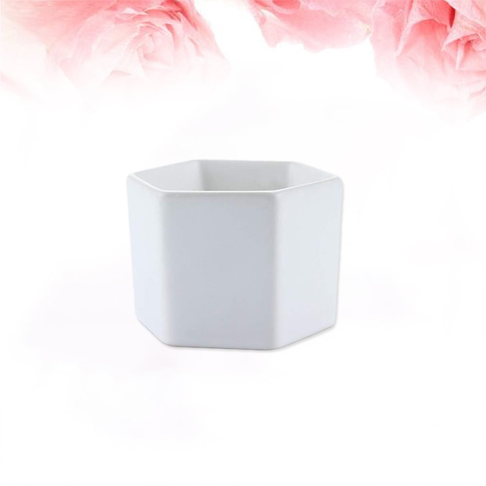 WHAMVOX Hexagonal Flowerpot Drainage Holes Mini Succulent Plant ...