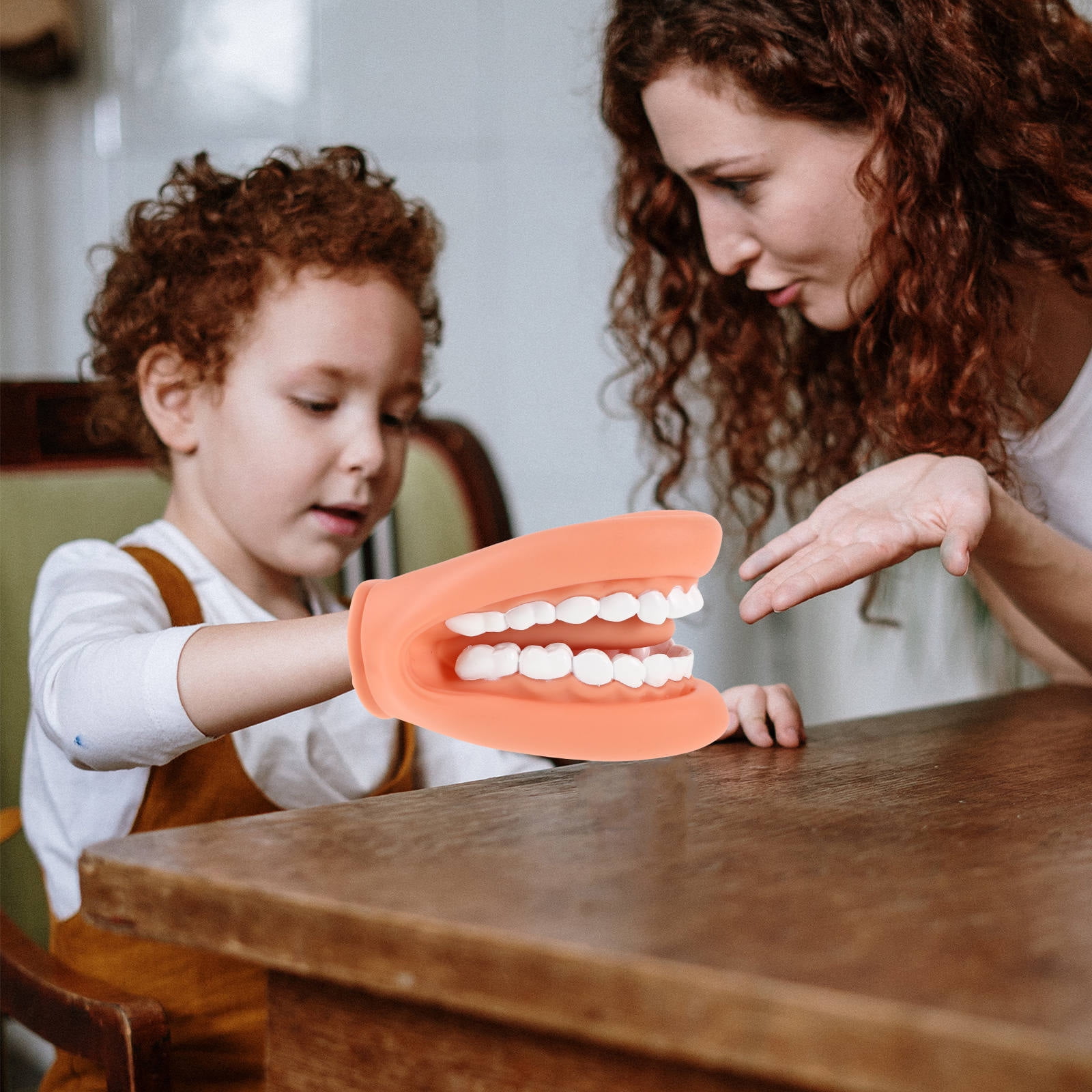 WHAMVOX Human Teeth Model Dental Standard Teeth Model Tooth Model For ...