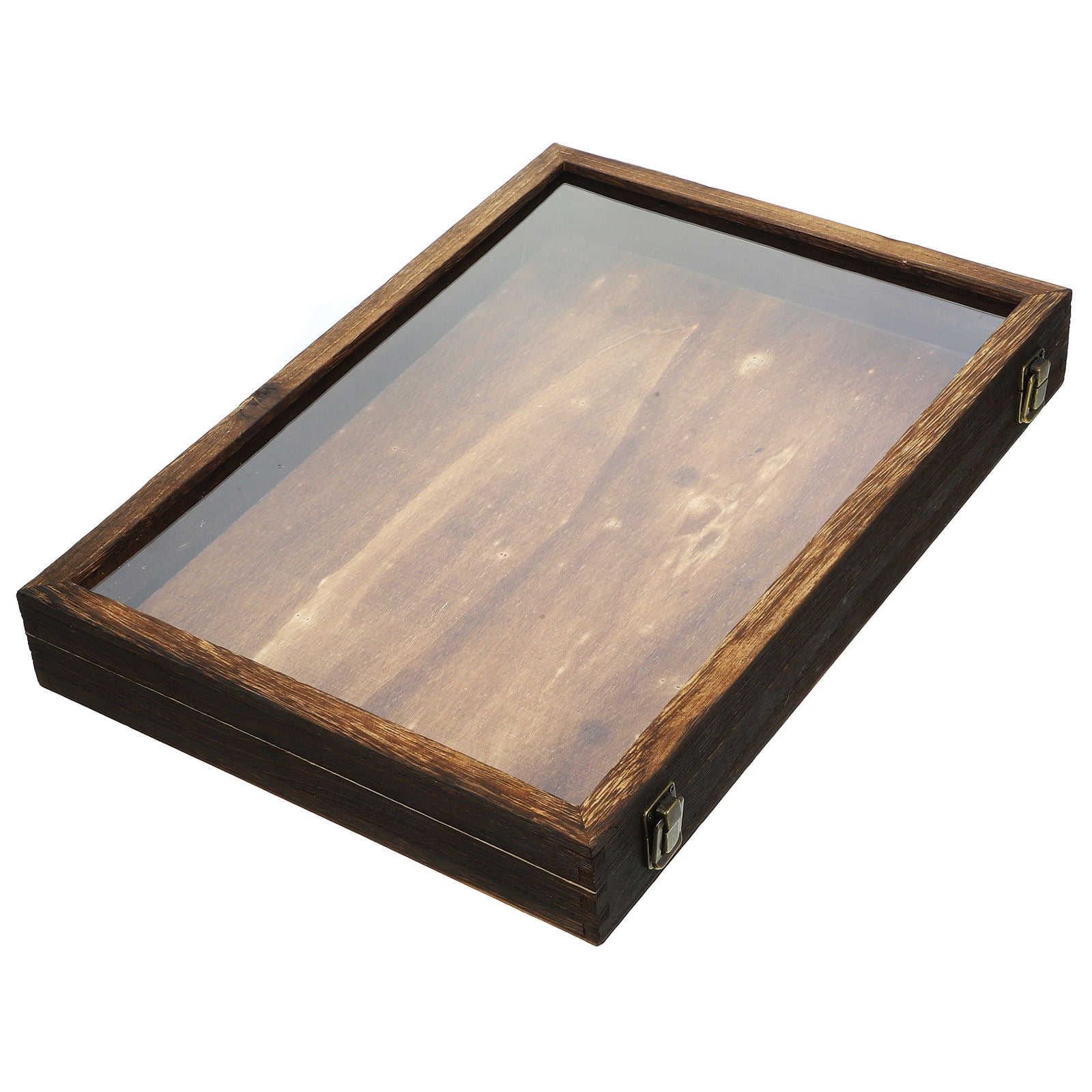 WHAMVOX Insect Display Case Hangable Wooden Collection Box Clear Lid ...