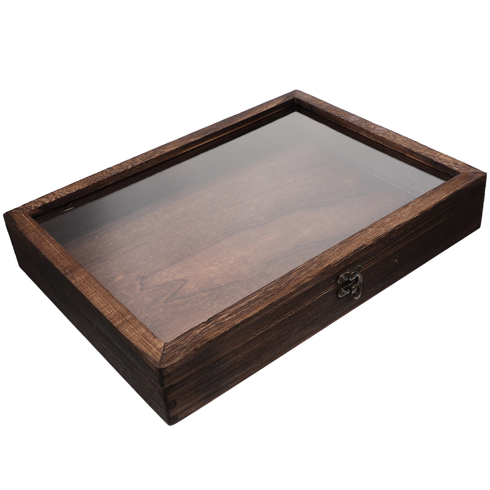 WHAMVOX Insect Specimen Display Box Dried Flower Storage Case - Walmart.com