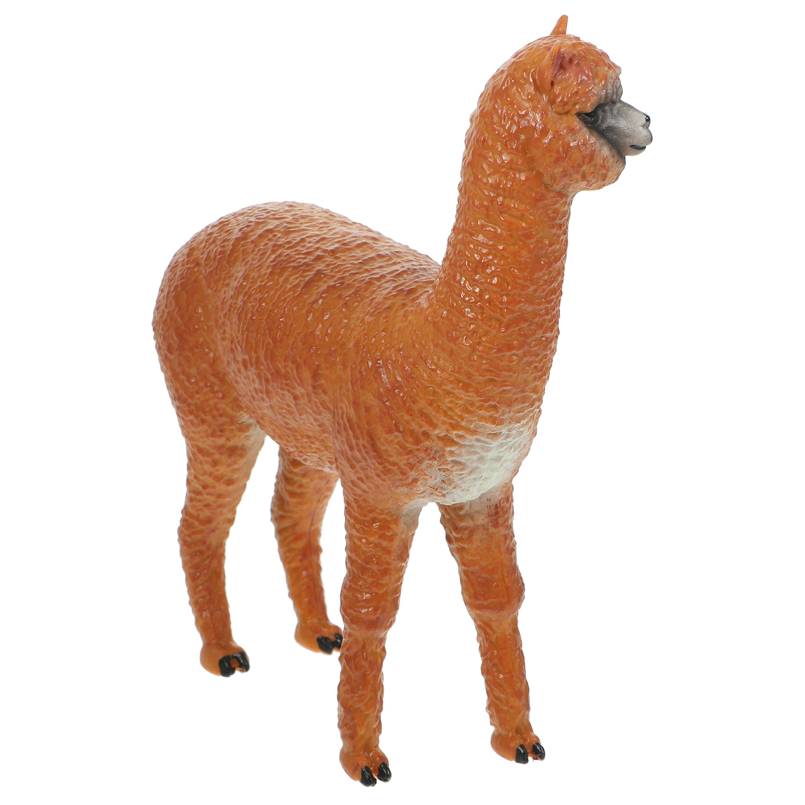 Alpaca Model