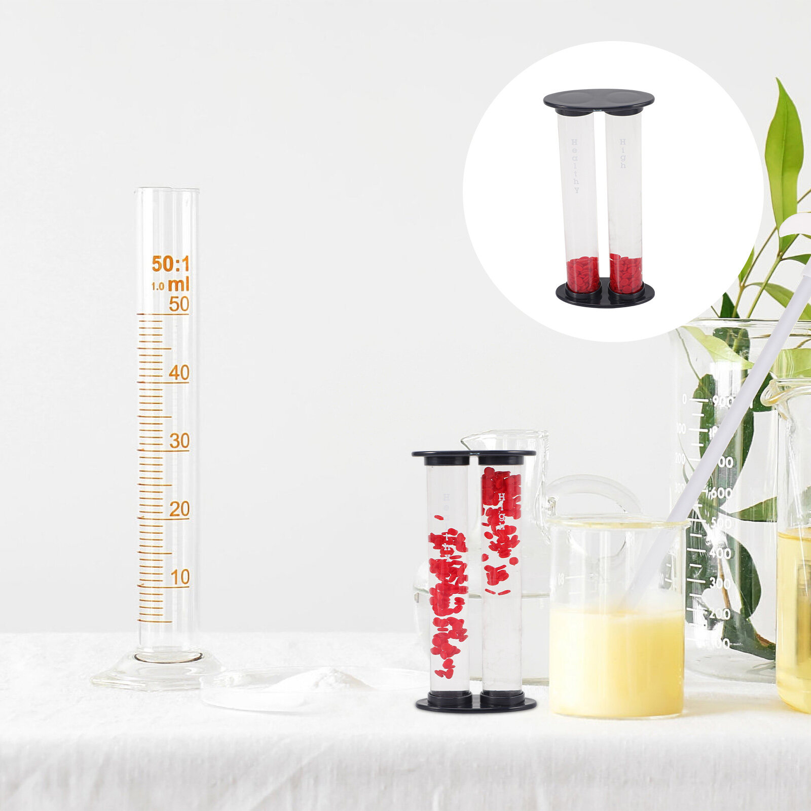 WHAMVOX Medical Blood Vessel Model Display Blood Vessel Model Medical ...