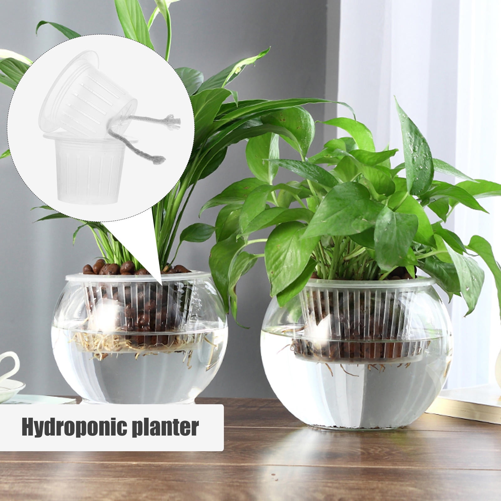 HOOWIFFY Household Planting Cups Clear Plastic 40Pcs For Hydroponic ...