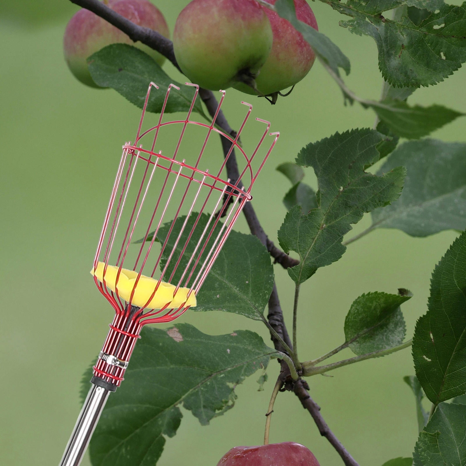 WHAMVOX OUNONA Fruit Picker Tool Extendable 1.6m Fruit Picker Pole With ...