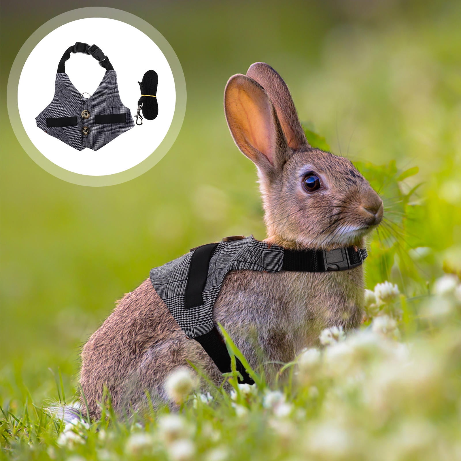WHAMVOX Padded Rabbit Walking Leash Pet Clothes for Rabbits Bridegroom ...
