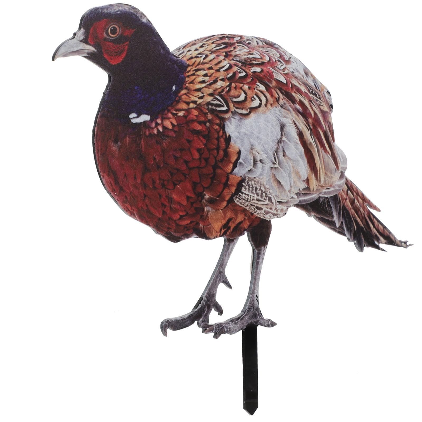 WHAMVOX Pheasant Stake Sign Lawn Decoration Acrylic Garden Vivid ...