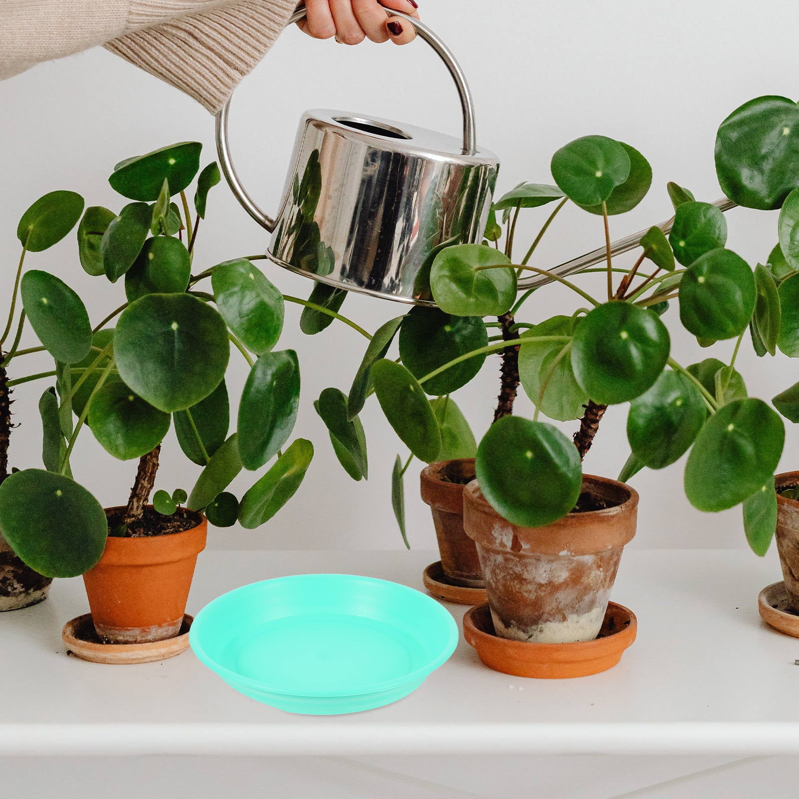 SEWCHICS Plant Saucer Green 10Pack 6.48X6.48X0.79In - Walmart.com