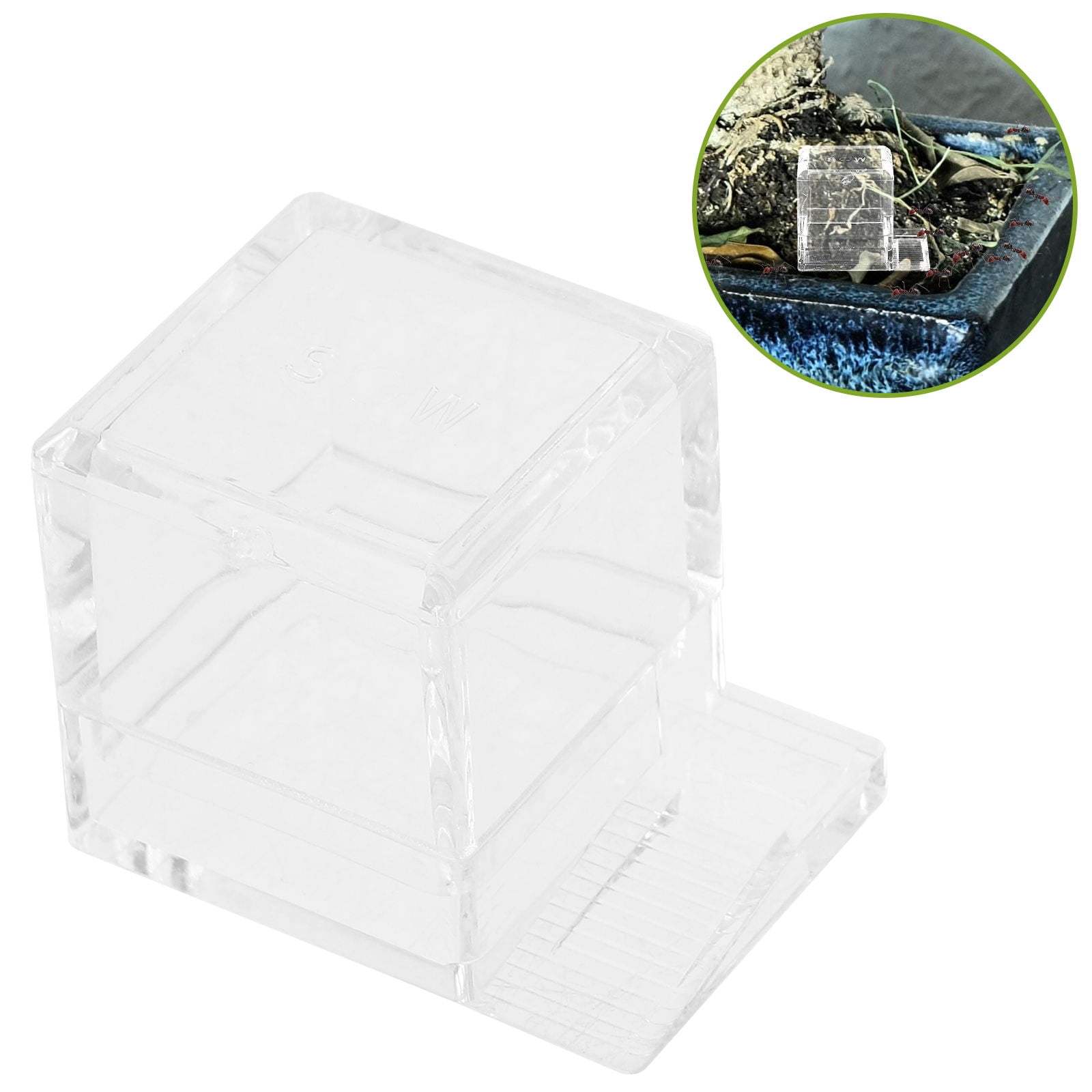 WHAMVOX Plastic Ants Water Feeder Ants Nest Water Feeder for Small ...