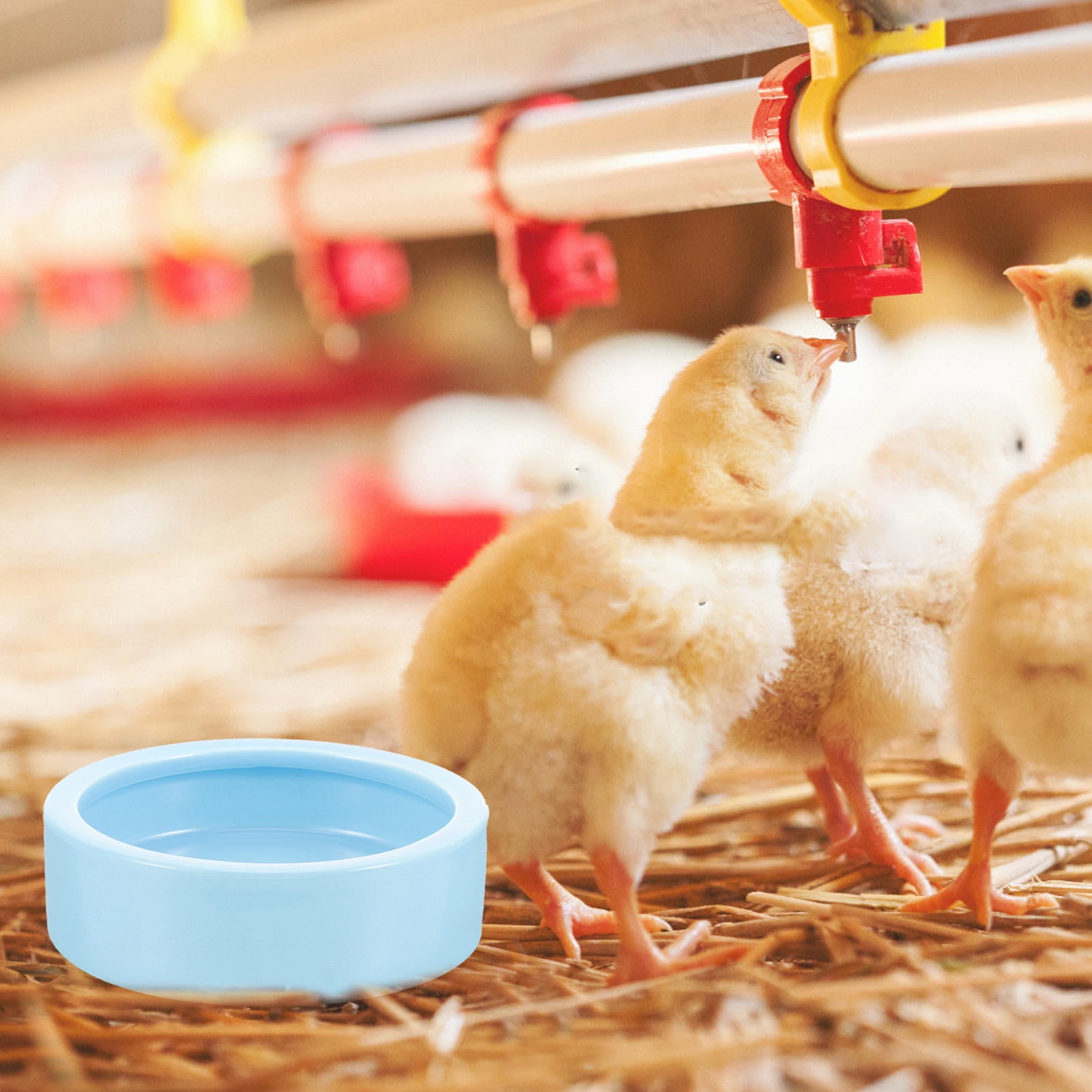 WHAMVOX Poultry Chicken Feeder Chicken Food Feeder Feeding Container ...