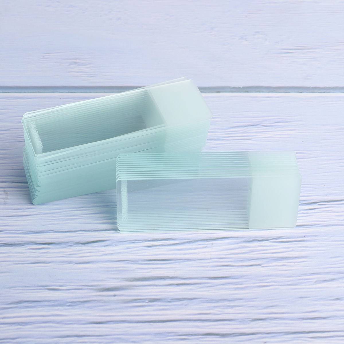 WHAMVOX Prepared Microscope Slide Wet Mount Preschool Science Slides ...